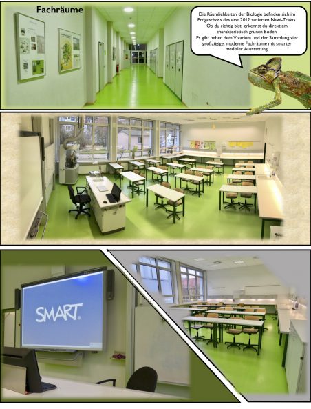 Biologie stellt sich vor! (Comic) - Gymnasium Philippinum